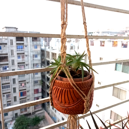 abuZZZ Macrame Jute Plant Hanger, Plant Hangers for Indoor Outdoor ...