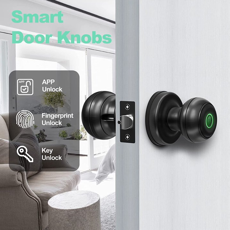 Smart Fingerprint Door Lock Smart Door Knob with App Smart Lock for ...