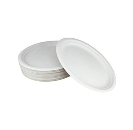 One Time Plate/One Time Disposal Plate/One Time Use Plate-11 Inch ...
