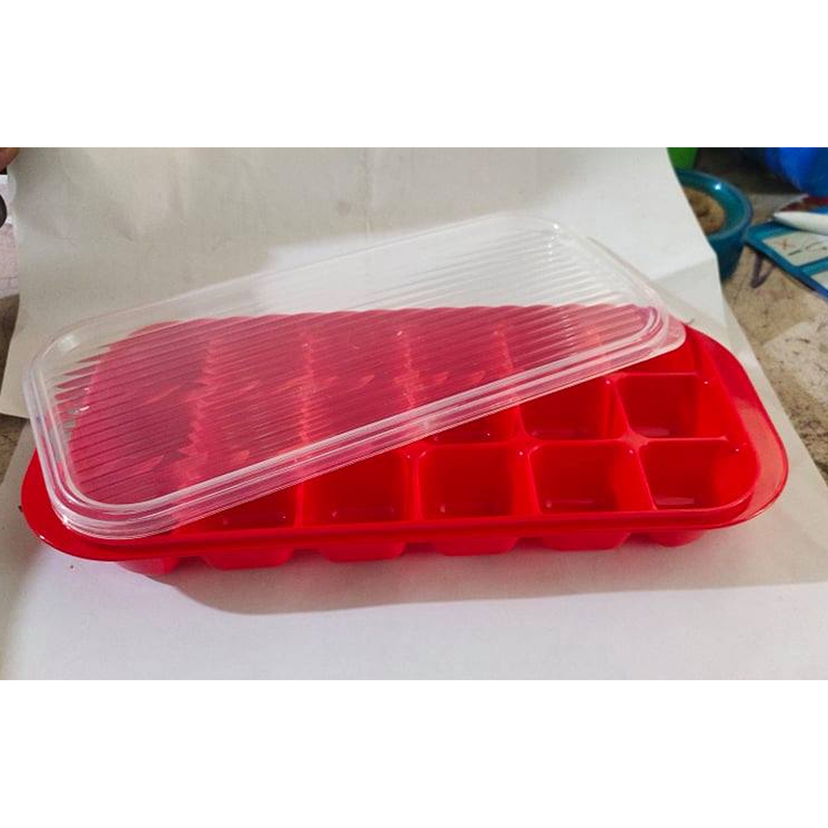 Daisy Ice Tray With Cover RFL | Daraz.com.bd