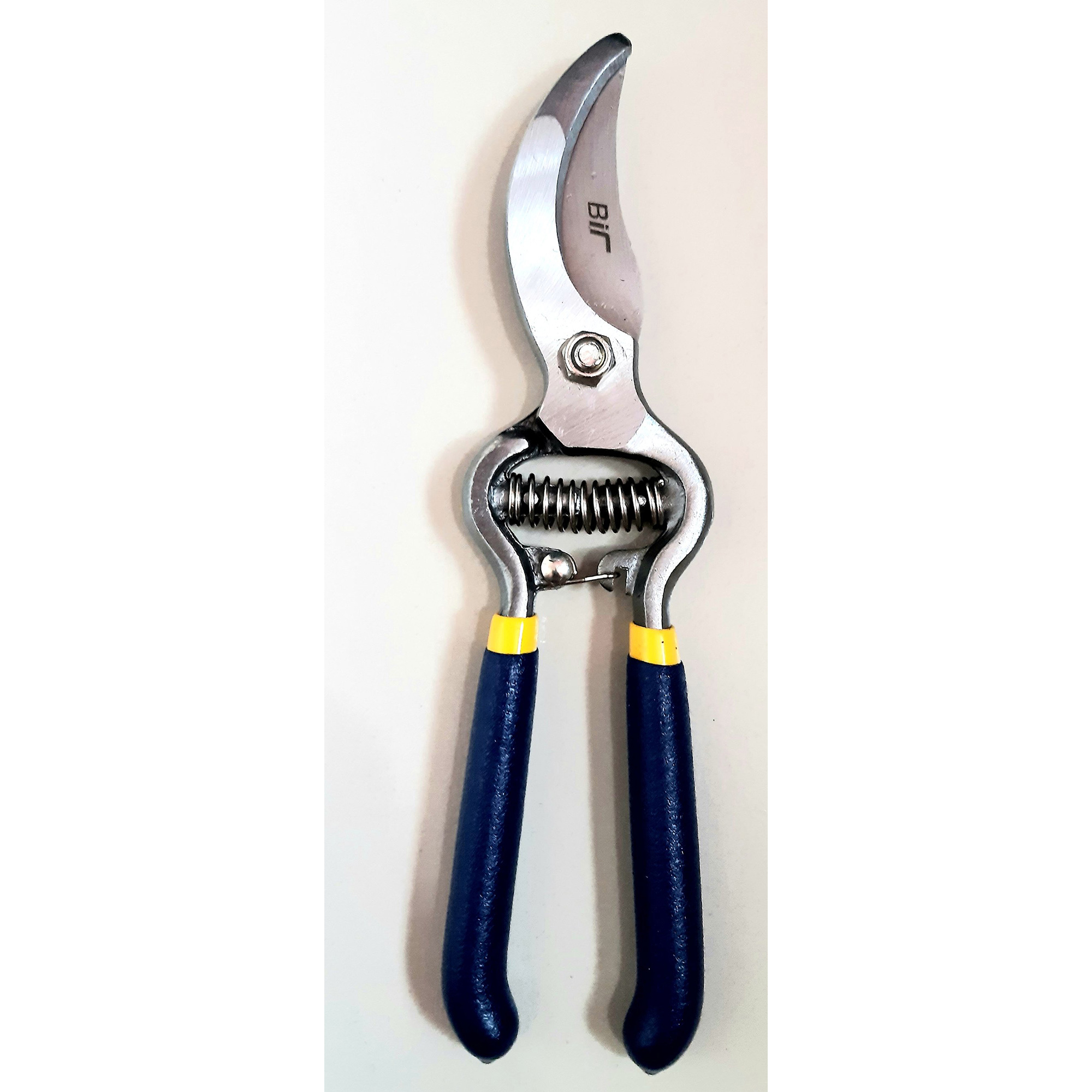 Professional 8 Inch Garden Scissors Fruit Tree Pruning Shears Bonsai ...