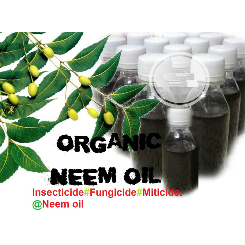 Neem Oil for Plant Pest Control - Organic Pesticide for Plants and ...