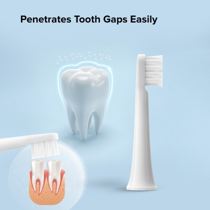 Xiaomi Mi Electric Toothbrush T100 Replacement Heads (3Pcs) | Daraz.com.bd